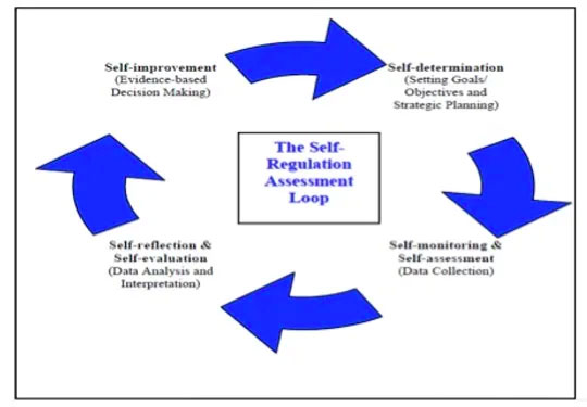 Self-Assessing Self-Regulation: Self-Assess what..? - The Core ...