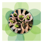 Building Connection through Community Circles - The Core Collaborative