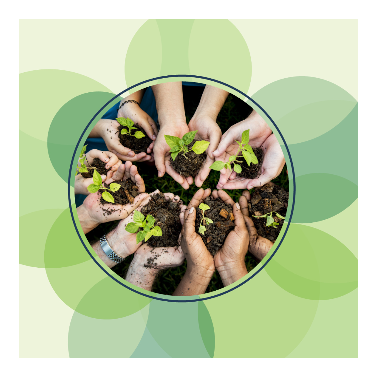 Building Connection through Community Circles - The Core Collaborative